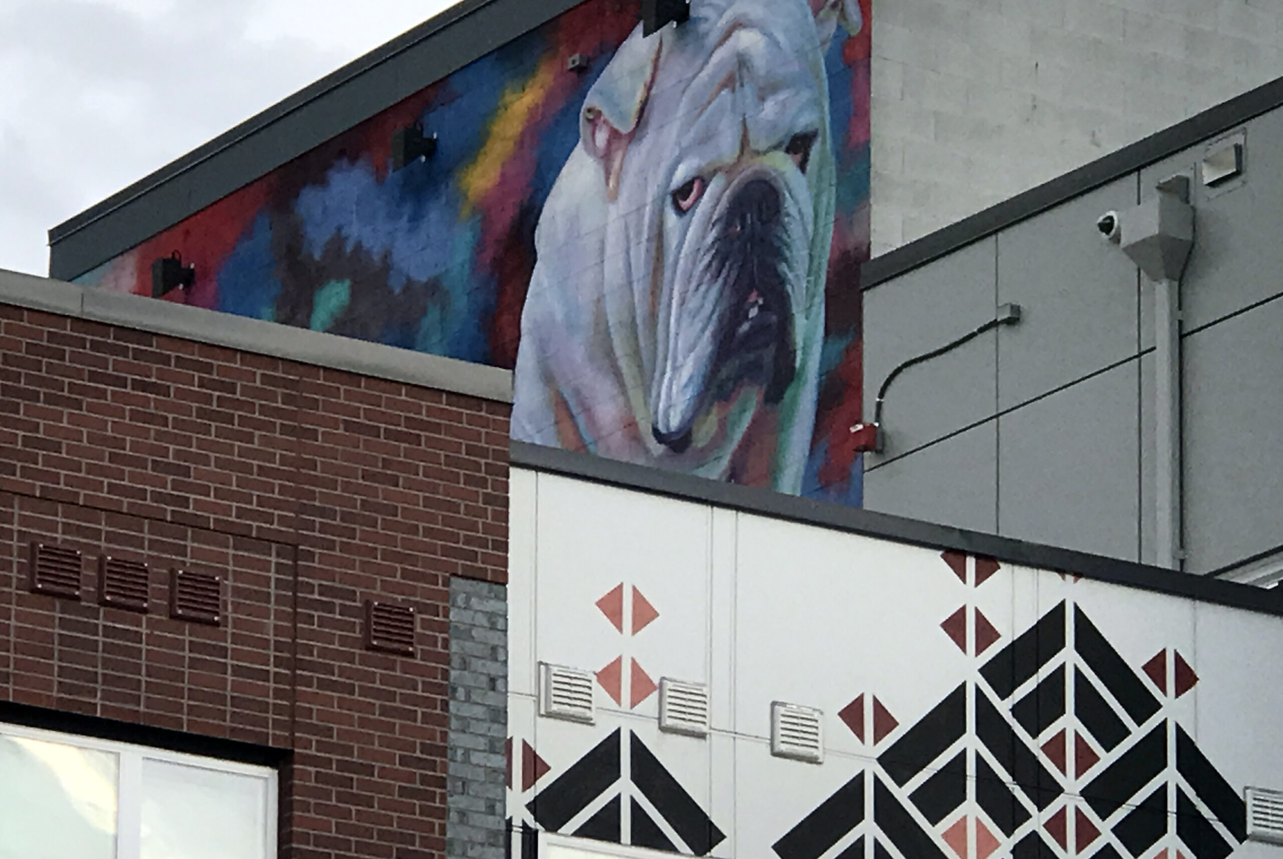 Nature - Murals Of Denver