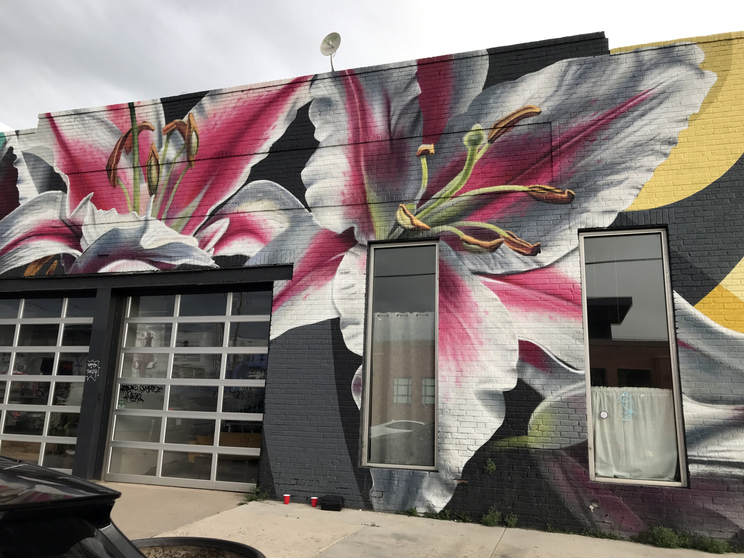 Nature - Murals Of Denver